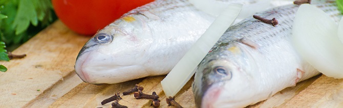 Novinka v Dianě - Cípal hlavatý