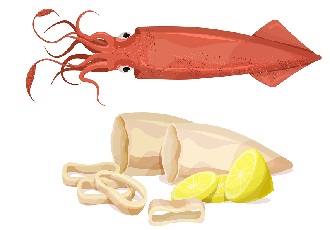 Co jsou kalamáry a recept na jejich přípravu - Diana